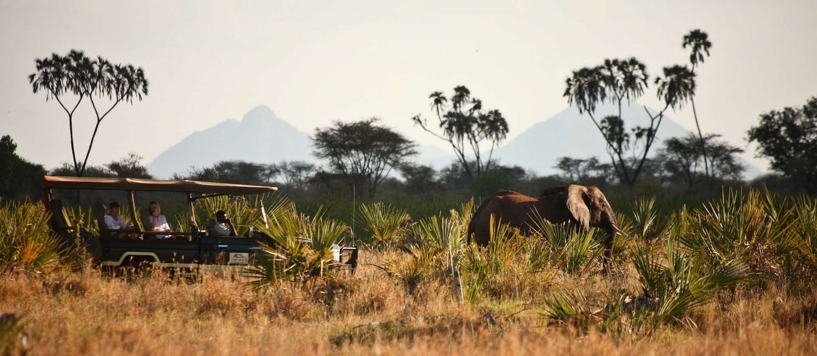 Meru national park Kenya
