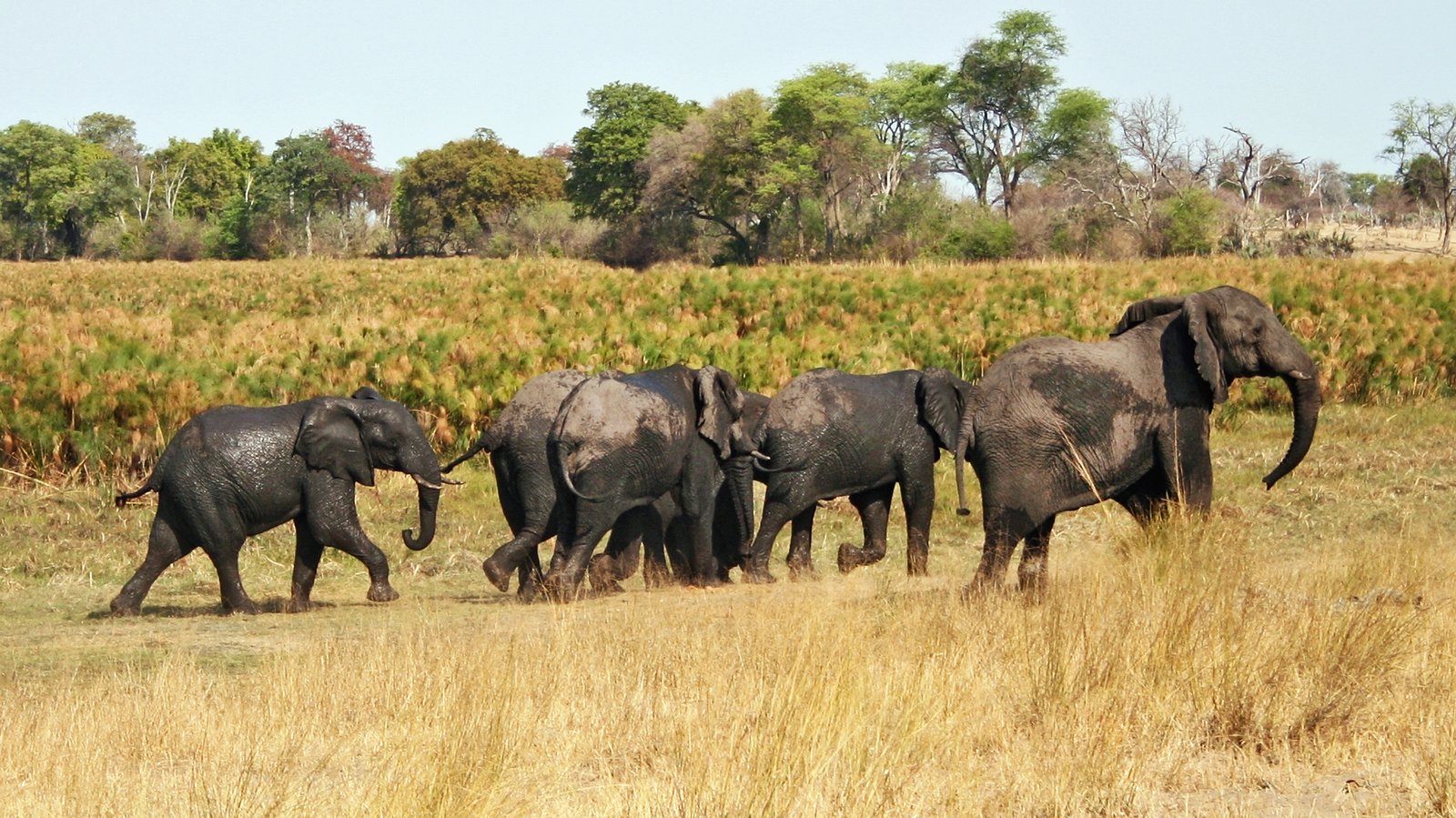 Luxury Activities to do in Bwabwata National Park